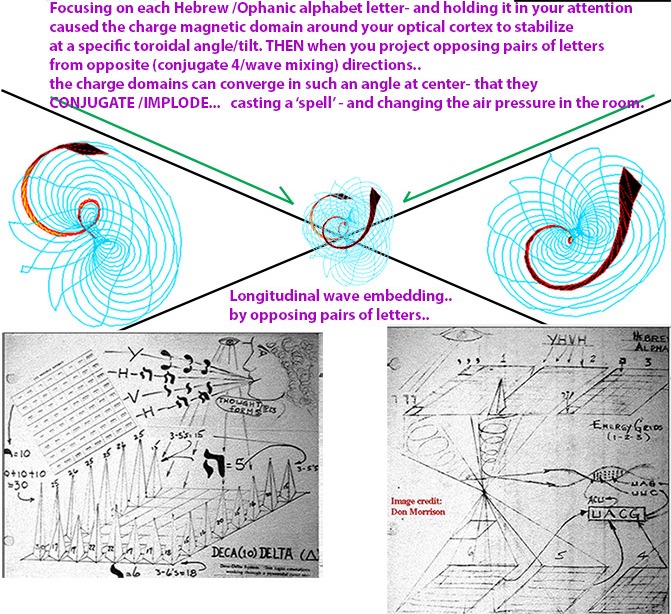 Navigating the Paradigm: Torus Plasma Domains