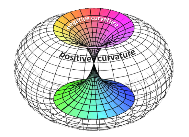 Navigating the Paradigm: Torus Plasma Domains
