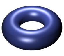 simple torus