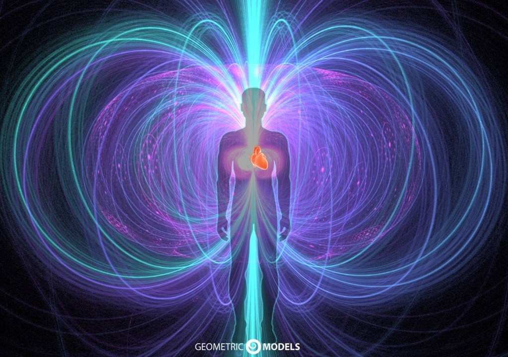 Navigating the Paradigm: Torus Plasma Domains