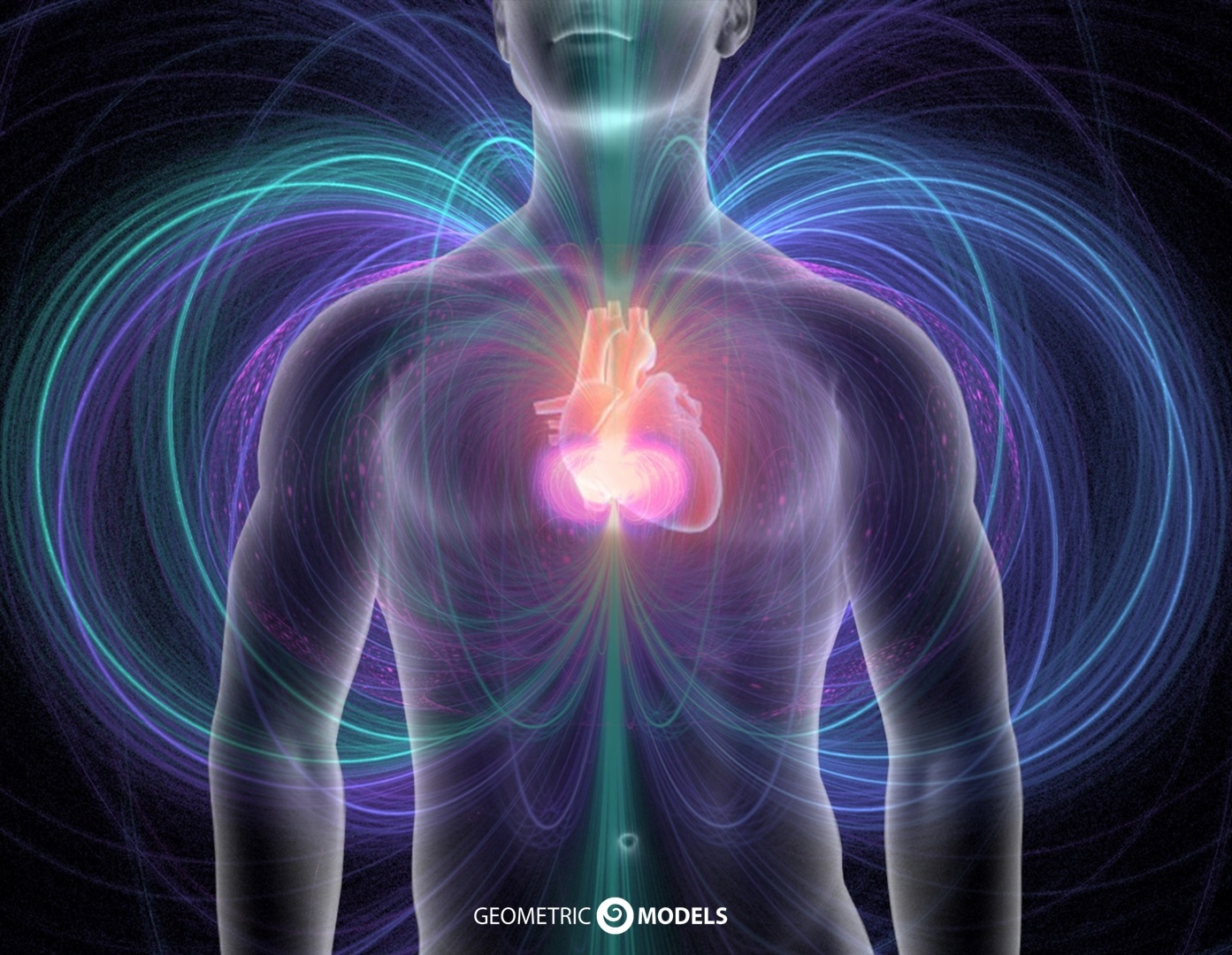 Navigating the Paradigm: Torus Plasma Domains