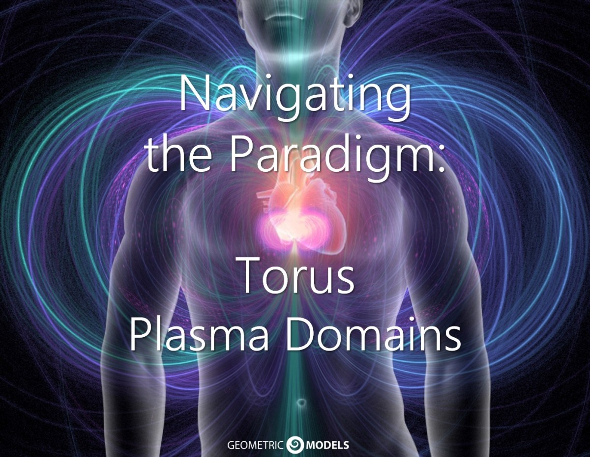 Navigating the Paradigm: Torus Plasma Domains
