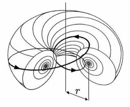 Navigating the Paradigm: Torus Plasma Domains
