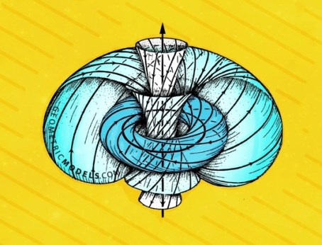 Navigating the Paradigm: Torus Plasma Domains
