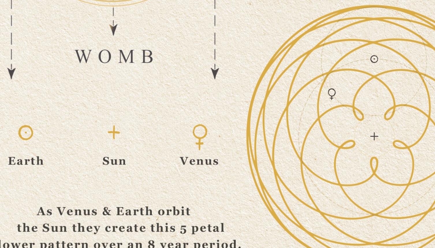 Geometry in Nature Poster