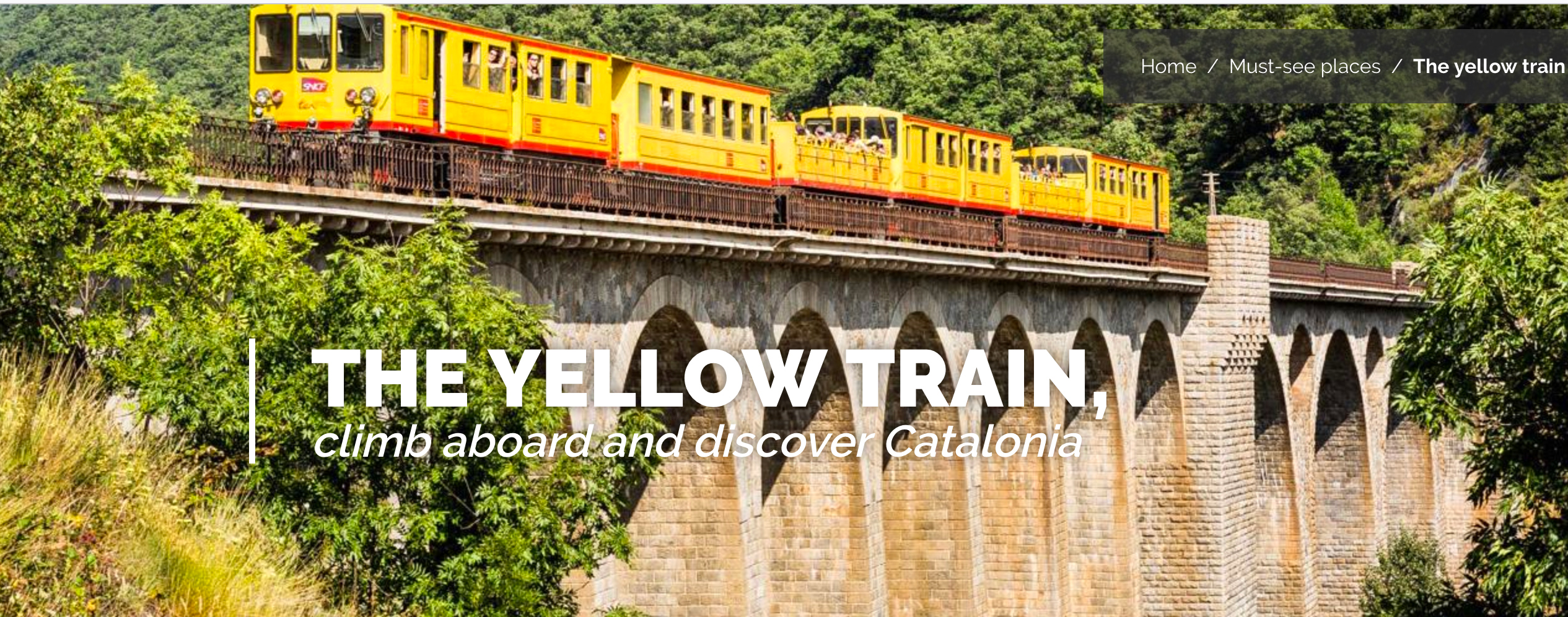yellowtrain